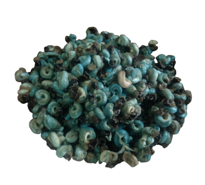 Periwinkle (100g) - FoodMattas Store